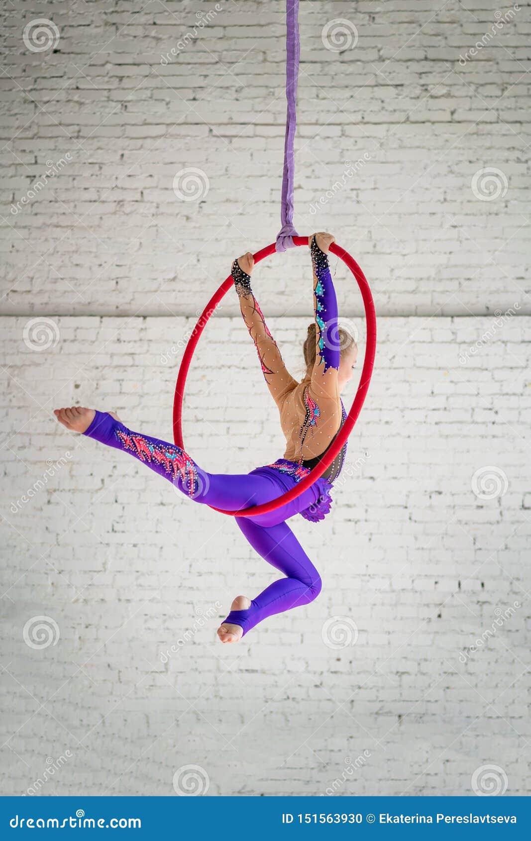 Girl Aerial Gymnast on a Circle Doing Acrobatic Elements Stock Photo ...