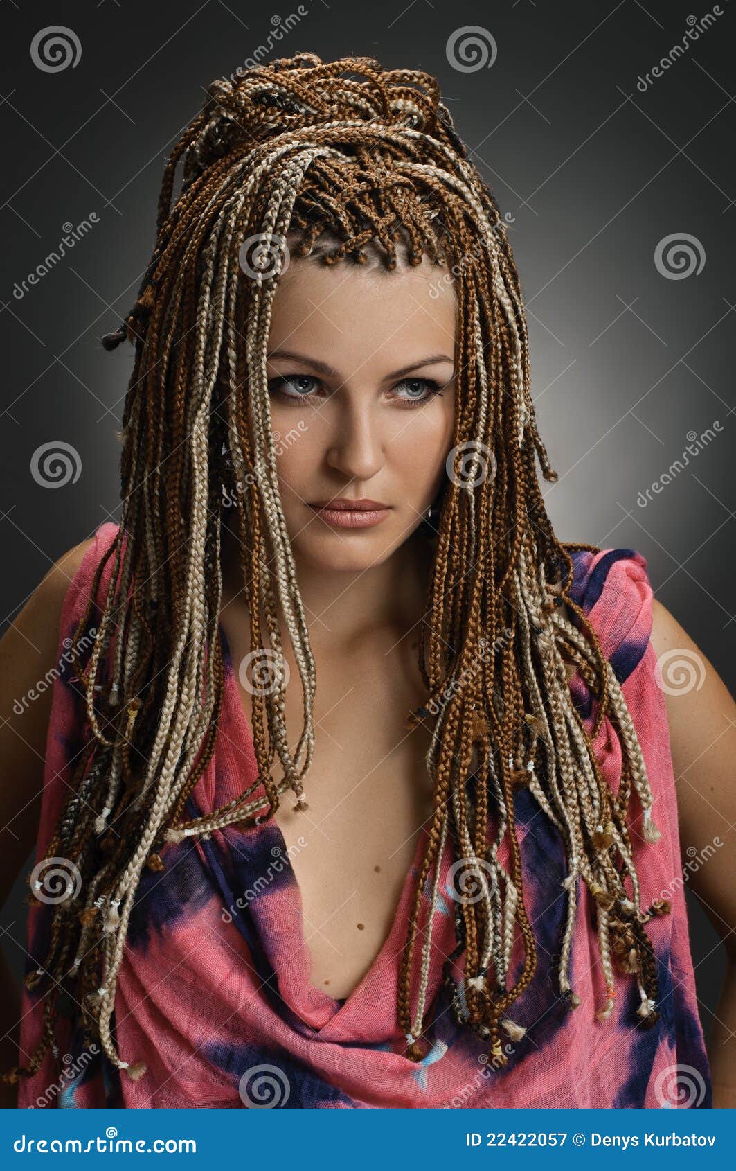 Girl with an African Plaits Stock Image - Image of lips, adult: 22422057