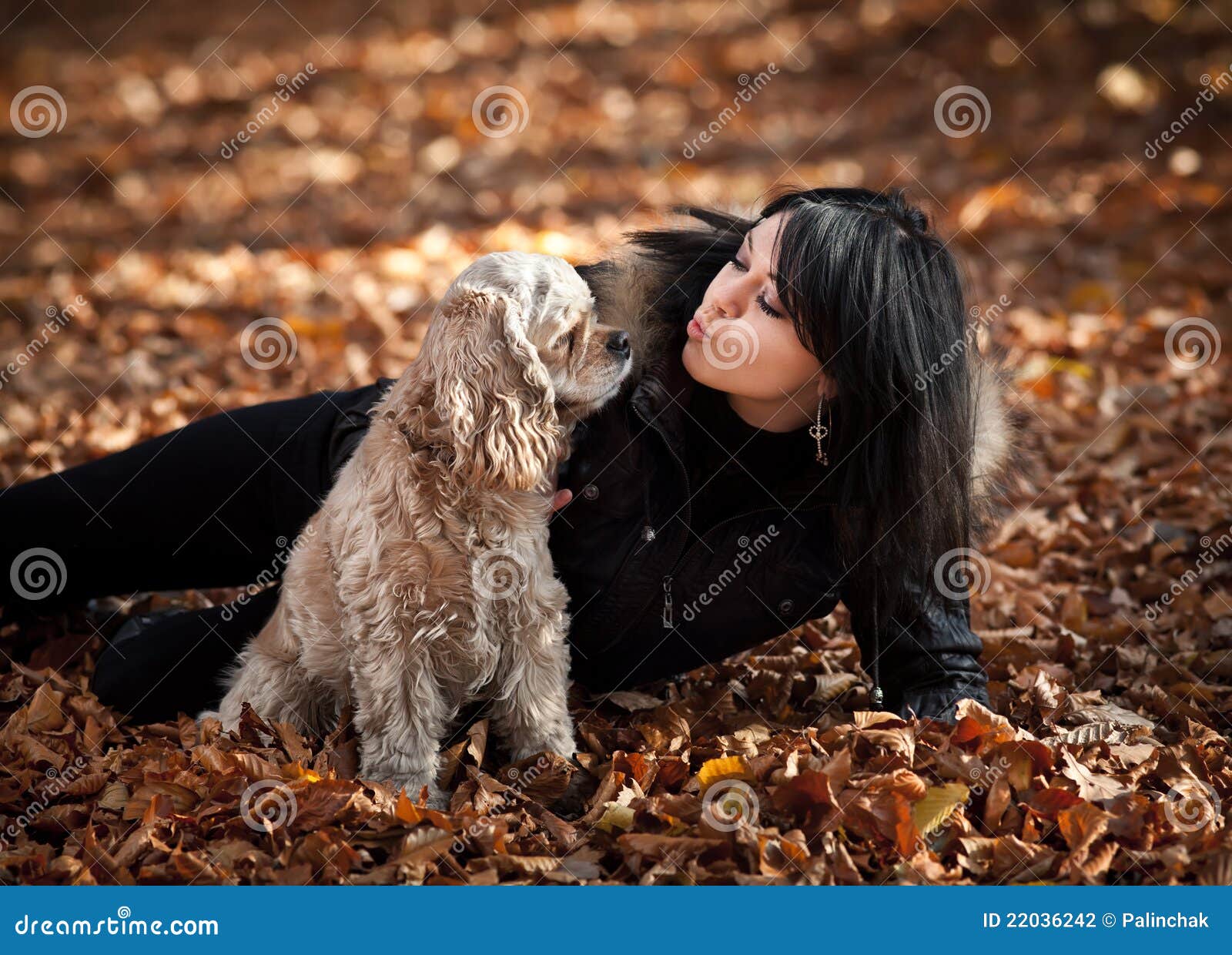 Girl and American Cocker Spaniel Stock Photo - Image of outdoors ...
