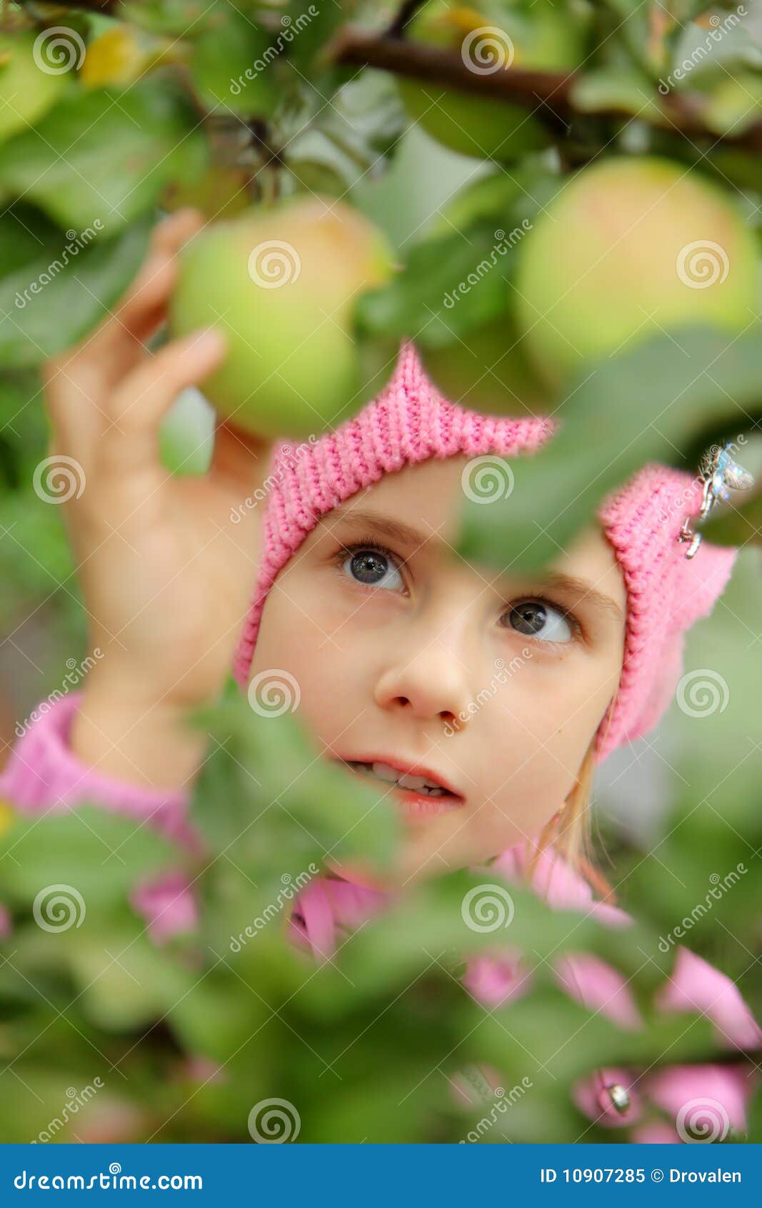 The girl and an apple-tree stock image. Image of daughter - 10907285