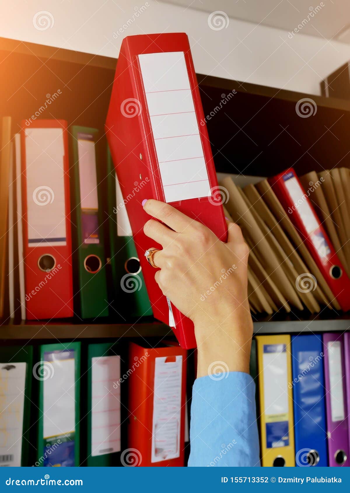 The Girl in the Archive Puts a Folder with Documents on the Shelf Close ...