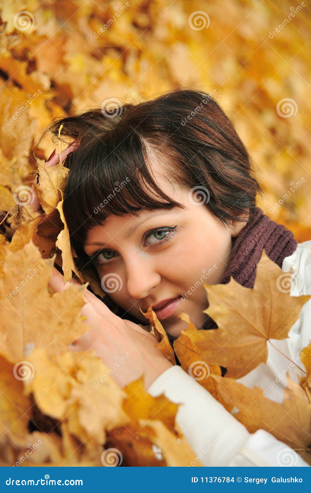 The girl in autumn leaves stock photo. Image of bright - 11376784