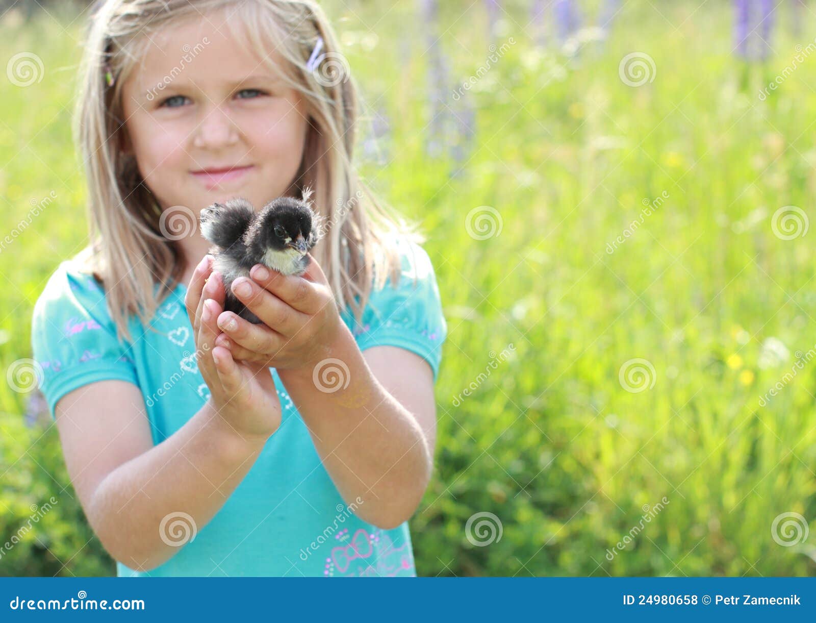 Girl with baby duck stock photo. Image of hands, smiling - 24980658
