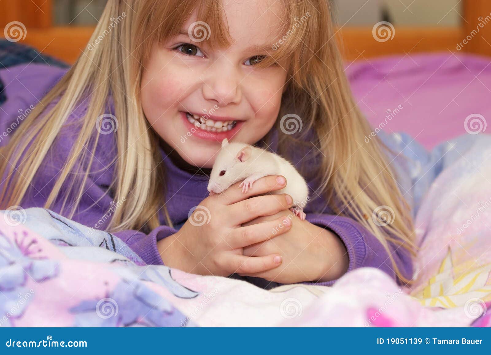 Girl with baby rat stock image. Image of together, closeup - 19051139