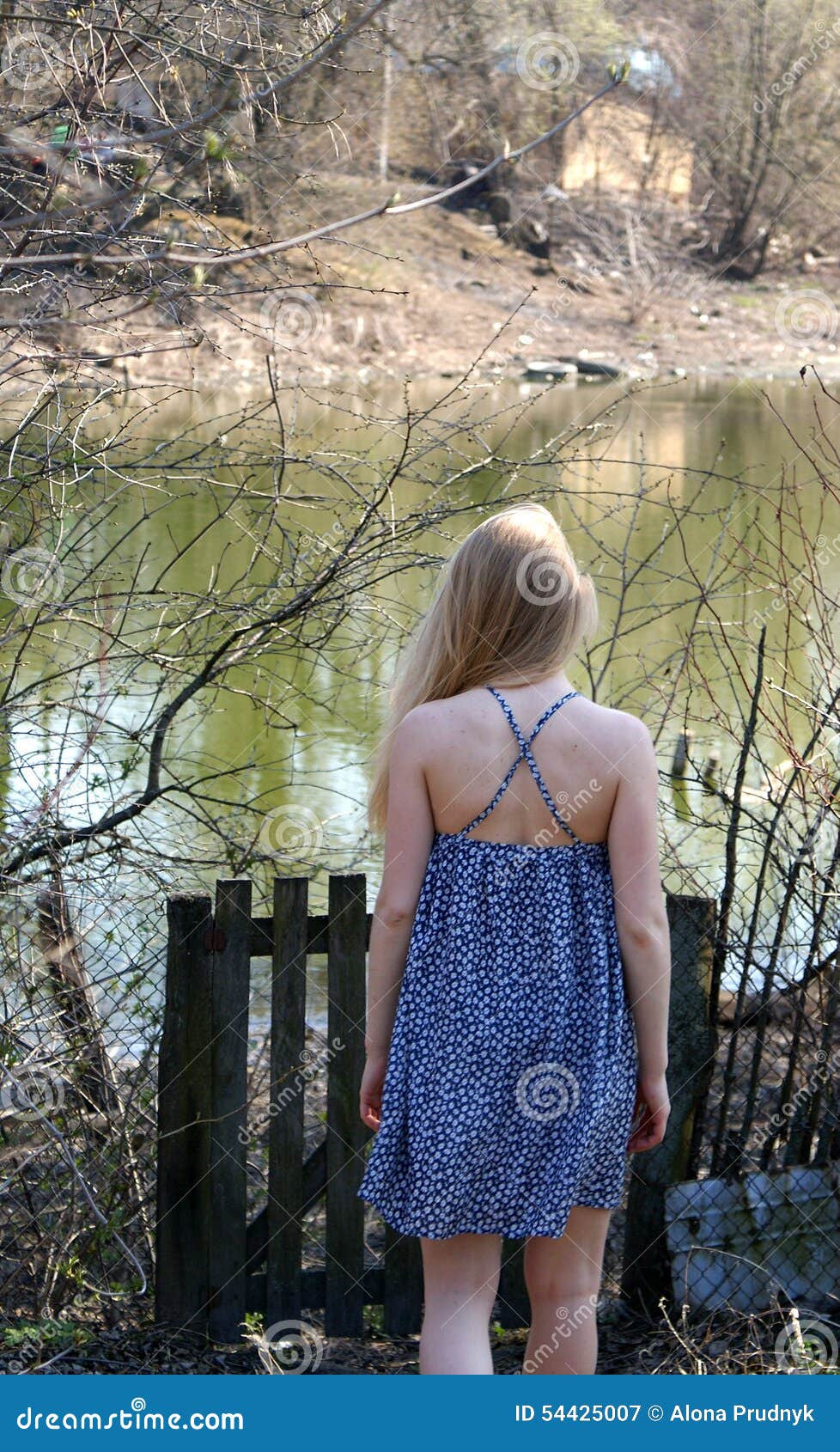 Girl back stock image. Image of hair, long, dress, stand - 54425007