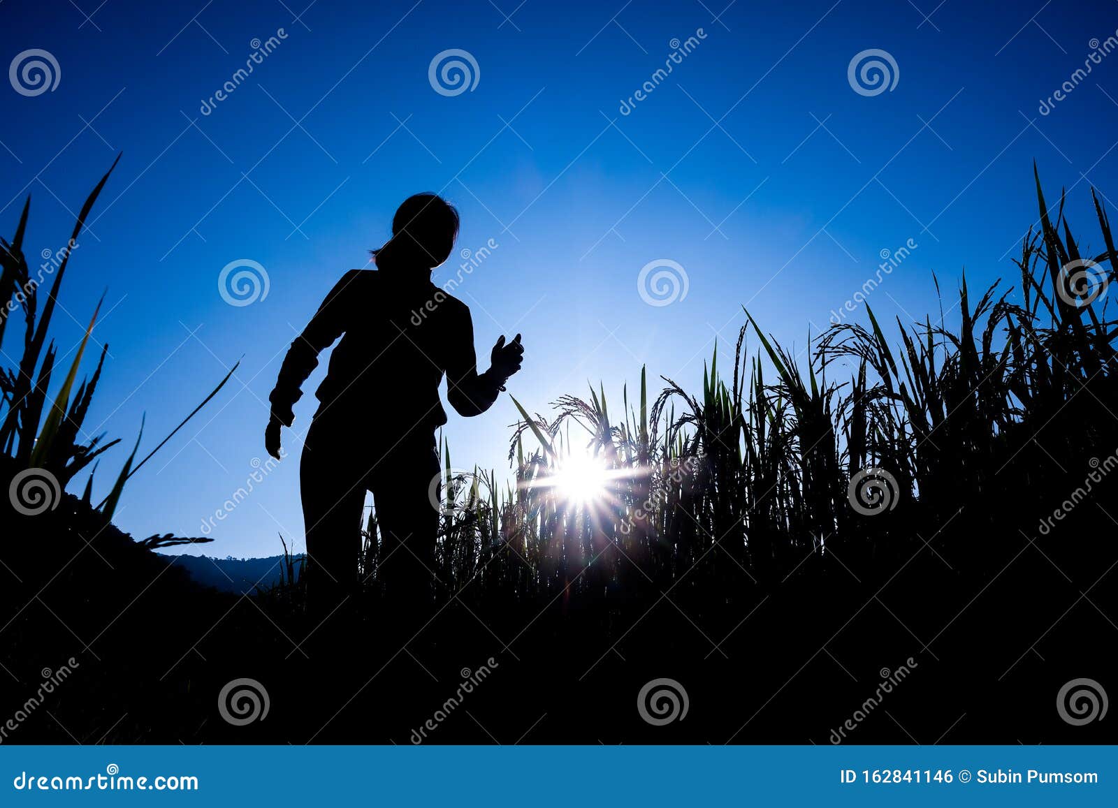 The Girl in Backlit View of Black Shadow Running and Running in the ...