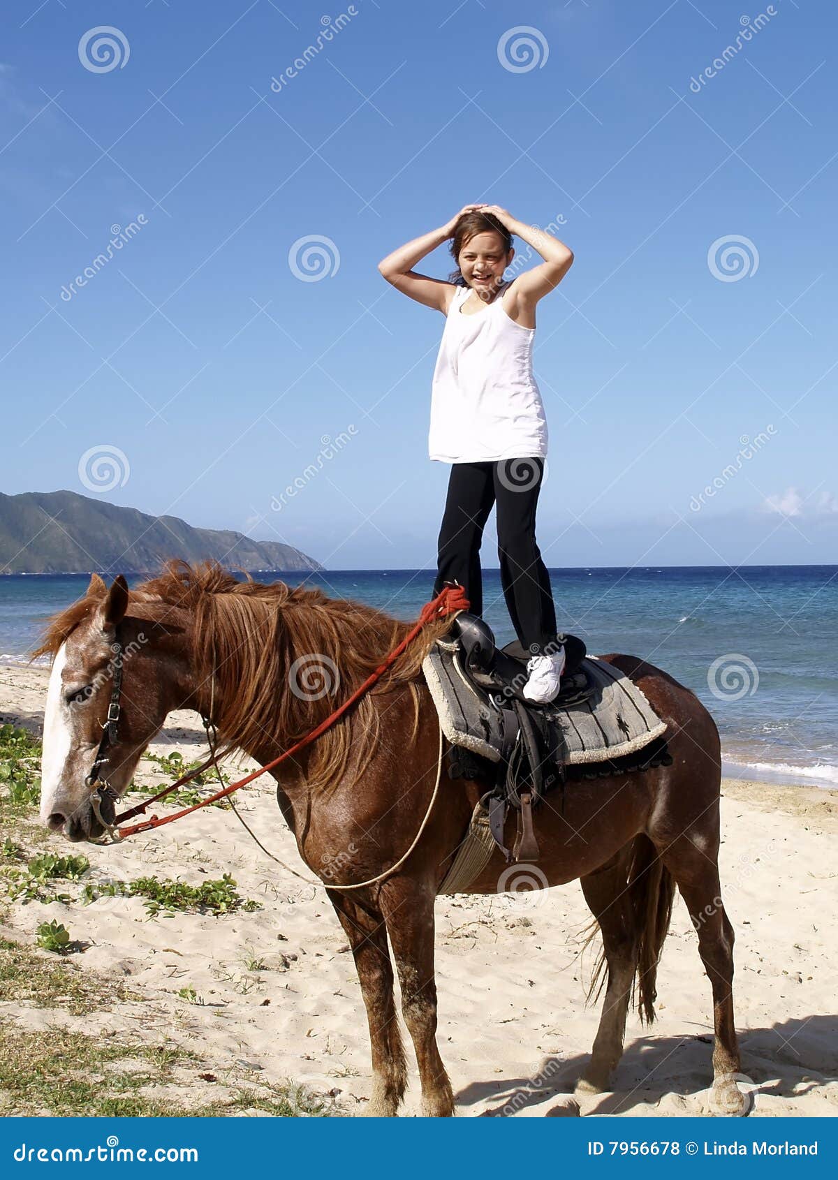 Girl Balancing on Horseback Stock Photo - Image of croix, caribbean ...