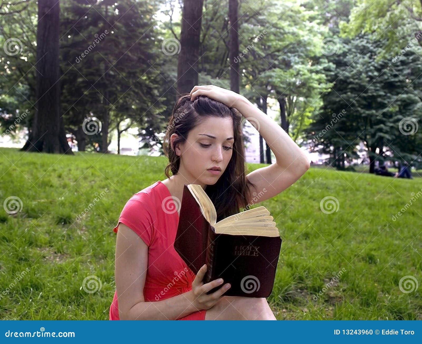 Girl with Bible stock photo. Image of park, study, female - 13243960