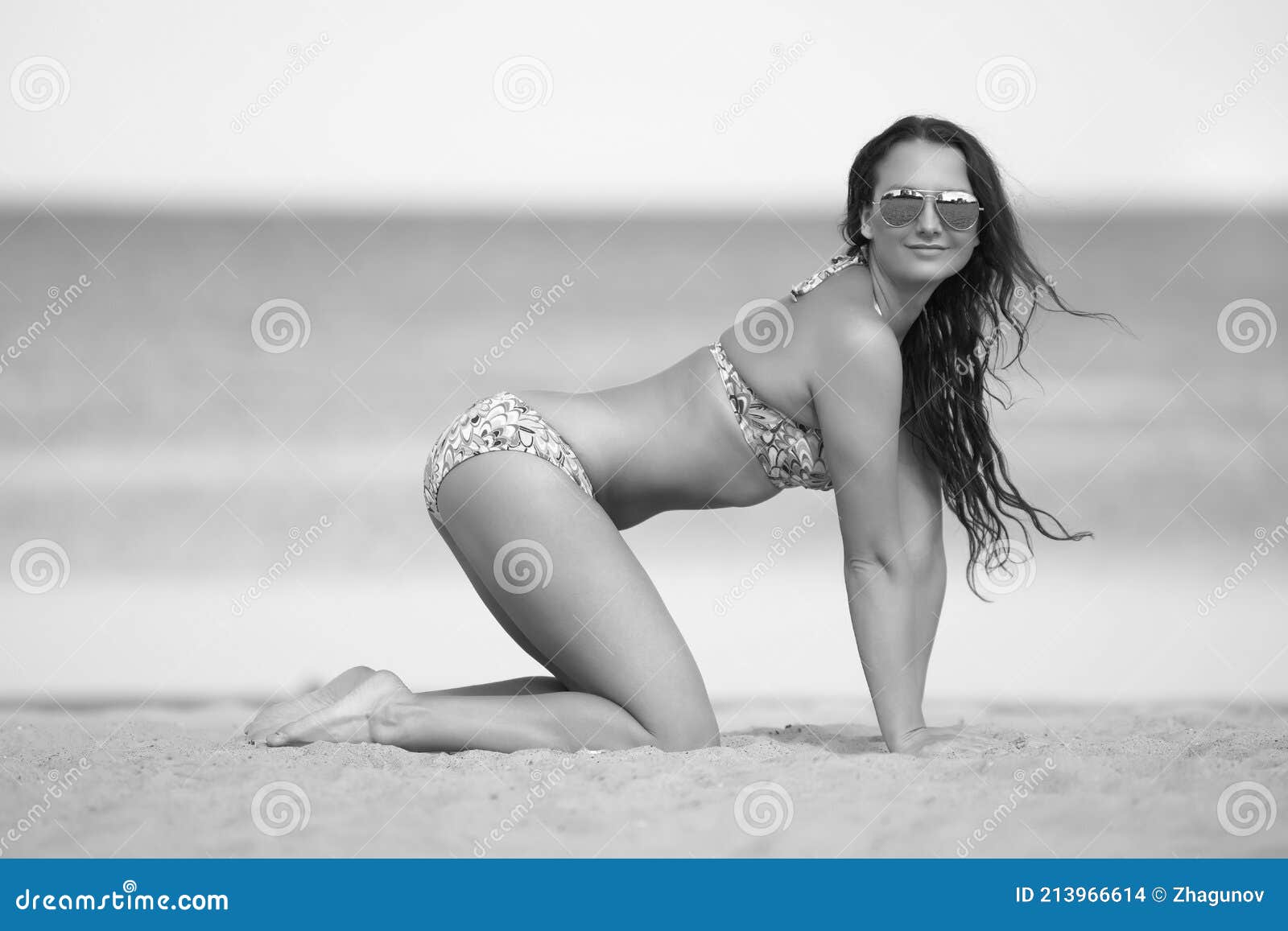 Girl in Bikini Posing on a Beach Stock Photo - Image of alluring, blanket: 213966614