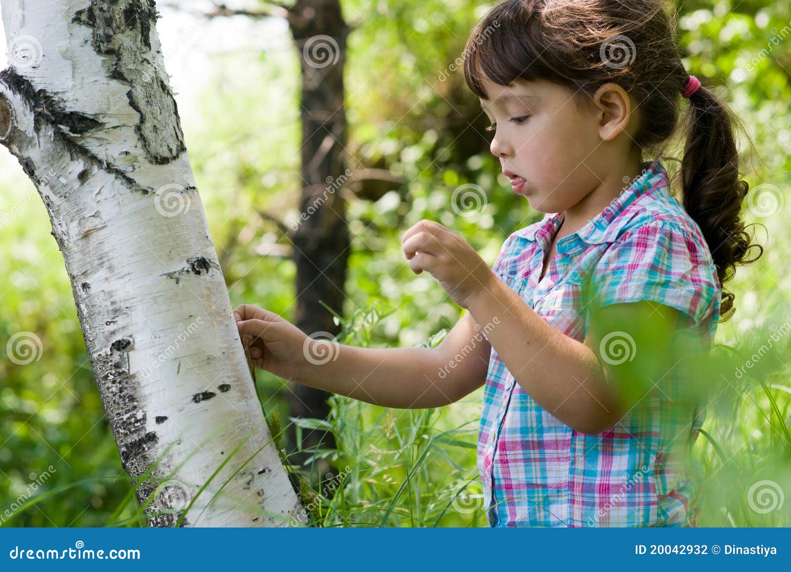 Girl and birch stock photo. Image of people, nature, tree - 20042932