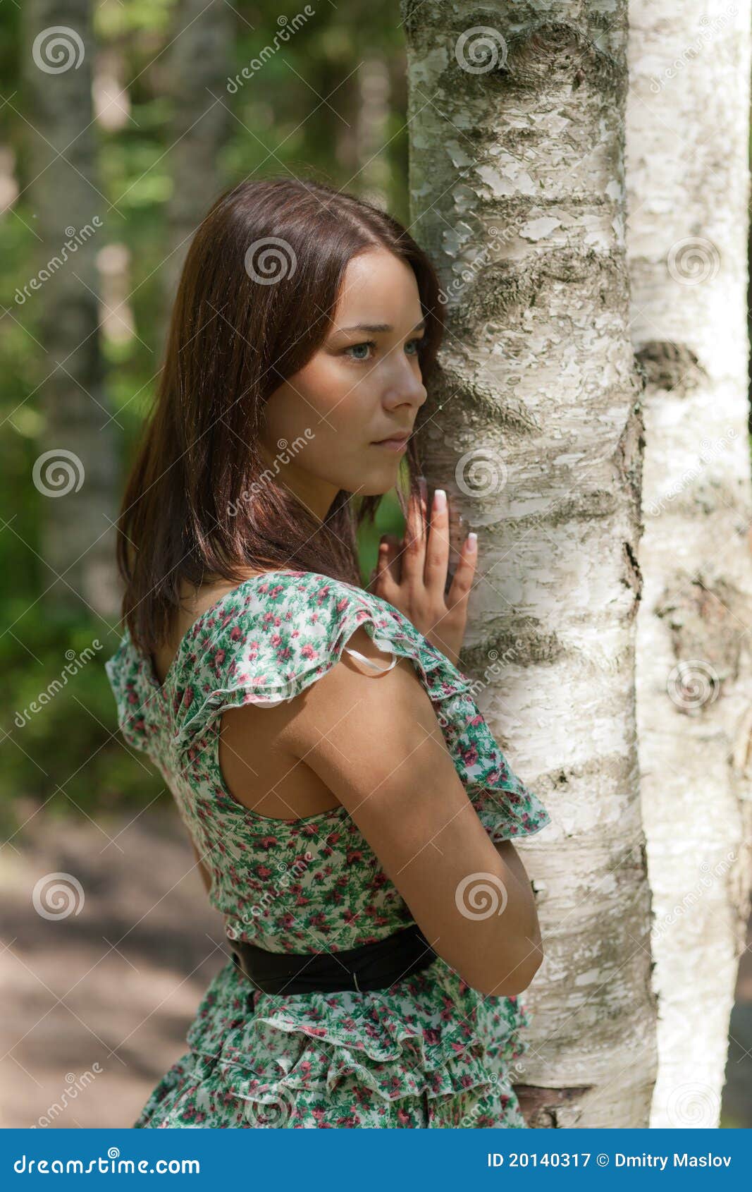 The girl at a birch stock image. Image of green, forest - 20140317