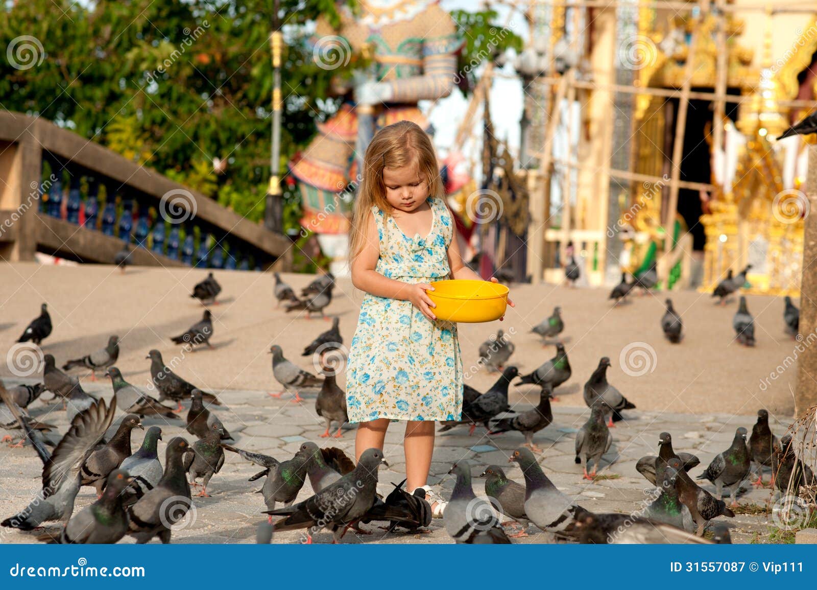 Girl and birds stock image. Image of lady, beautiful - 31557087