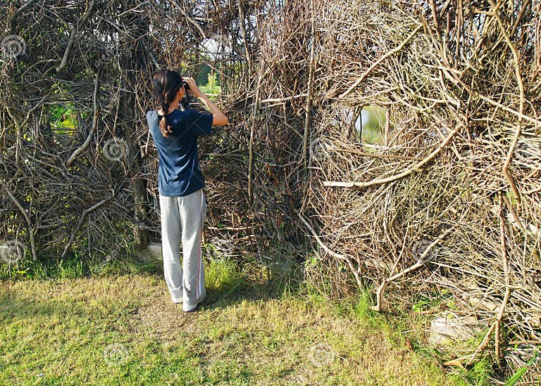 Girl in Birdwatching Activity at Nature Hide Stock Image - Image of ...