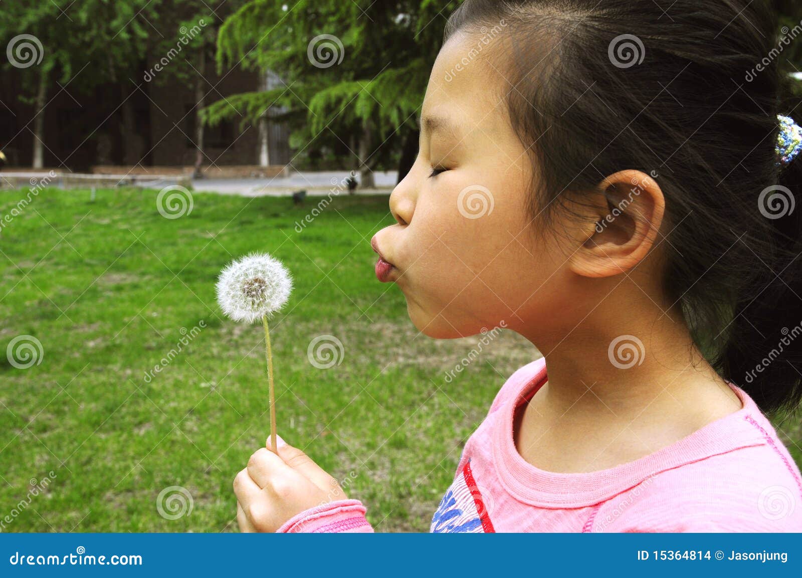 Girl blow Dandelion stock photo. Image of time, garden - 15364814