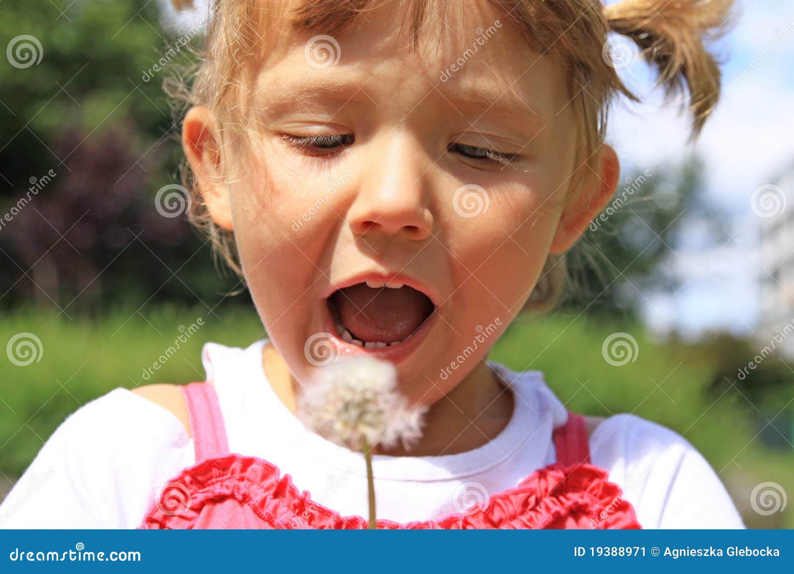 Girl Blowing A Dandelion Picture. Image: 19388971