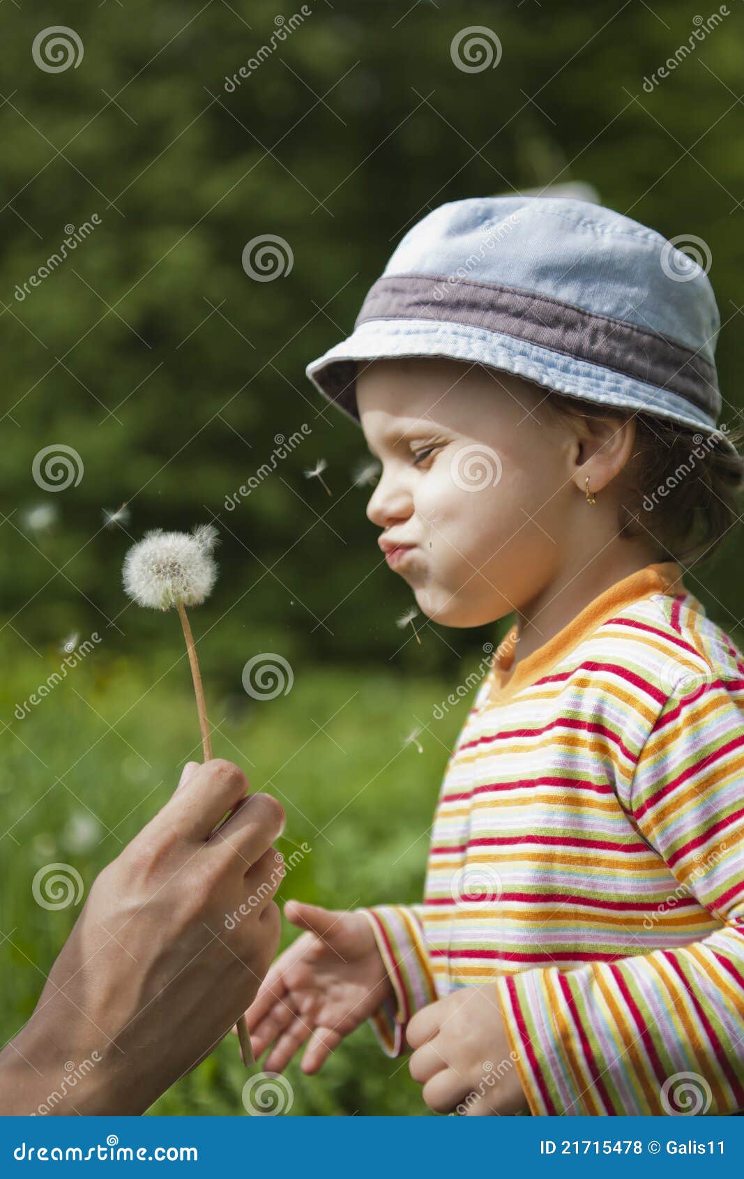 Girl Blowing a Dandelion stock photo. Image of family - 21715478