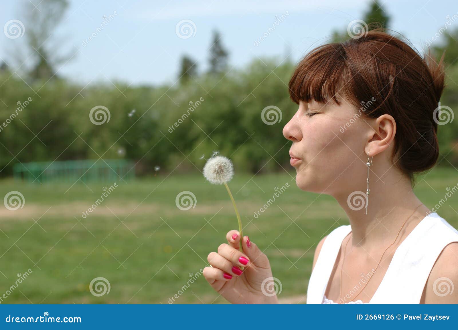 Girl blowing dandelion stock photo. Image of plant, girl - 2669126