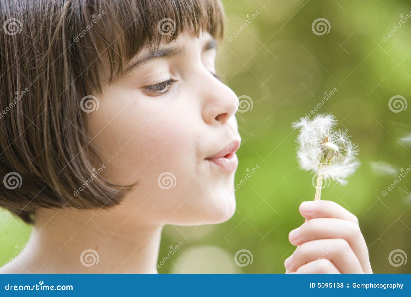Girl blowing a dandelion stock photo. Image of girl, scatter - 5095138
