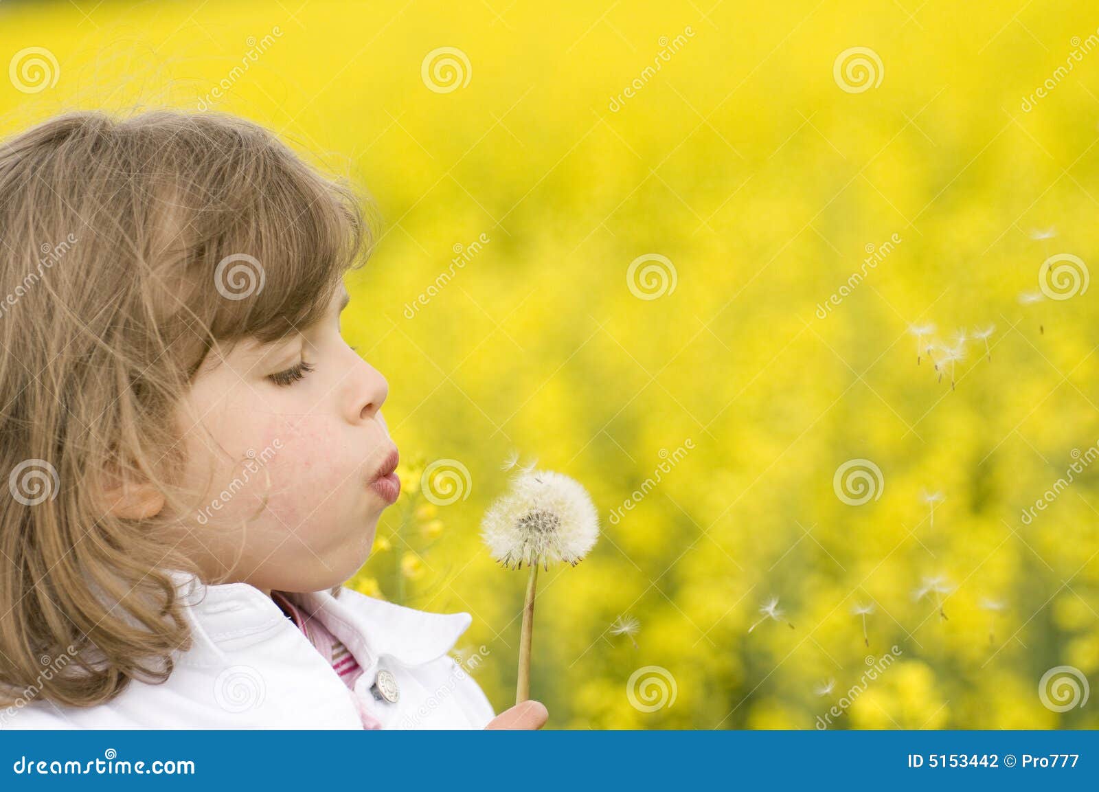 Girl blowing dandelion stock photo. Image of carefree - 5153442