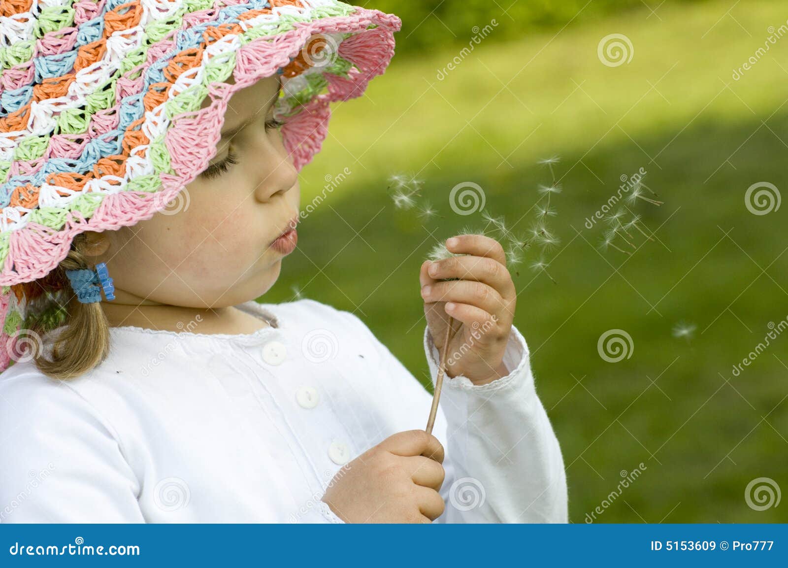 Girl blowing dandelion stock image. Image of innocence - 5153609