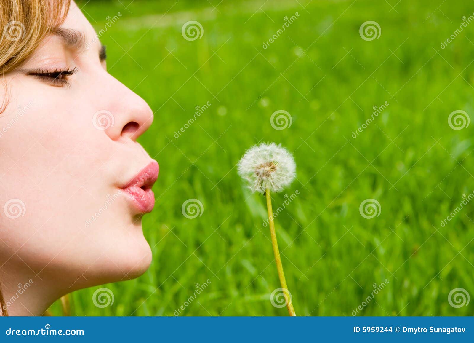 Girl Blowing on the Dandelion Stock Photo - Image of lifestyle, girl ...