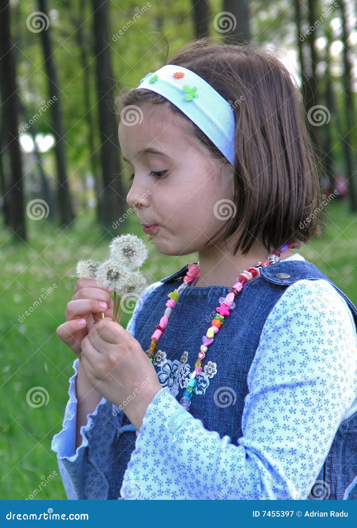 Girl Blowing Dandelion stock image. Image of gesture, beautiful - 7455397