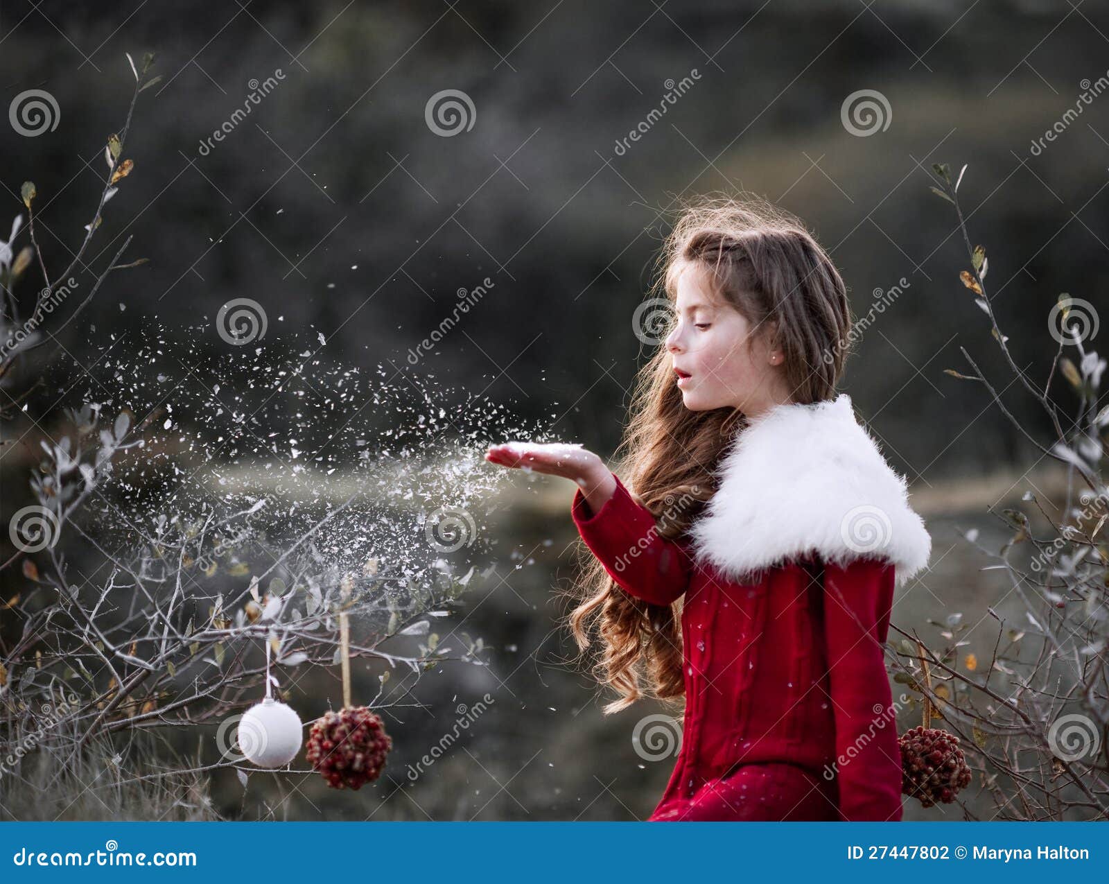 Girl blowing snow stock photo. Image of girl, seasons - 27447802