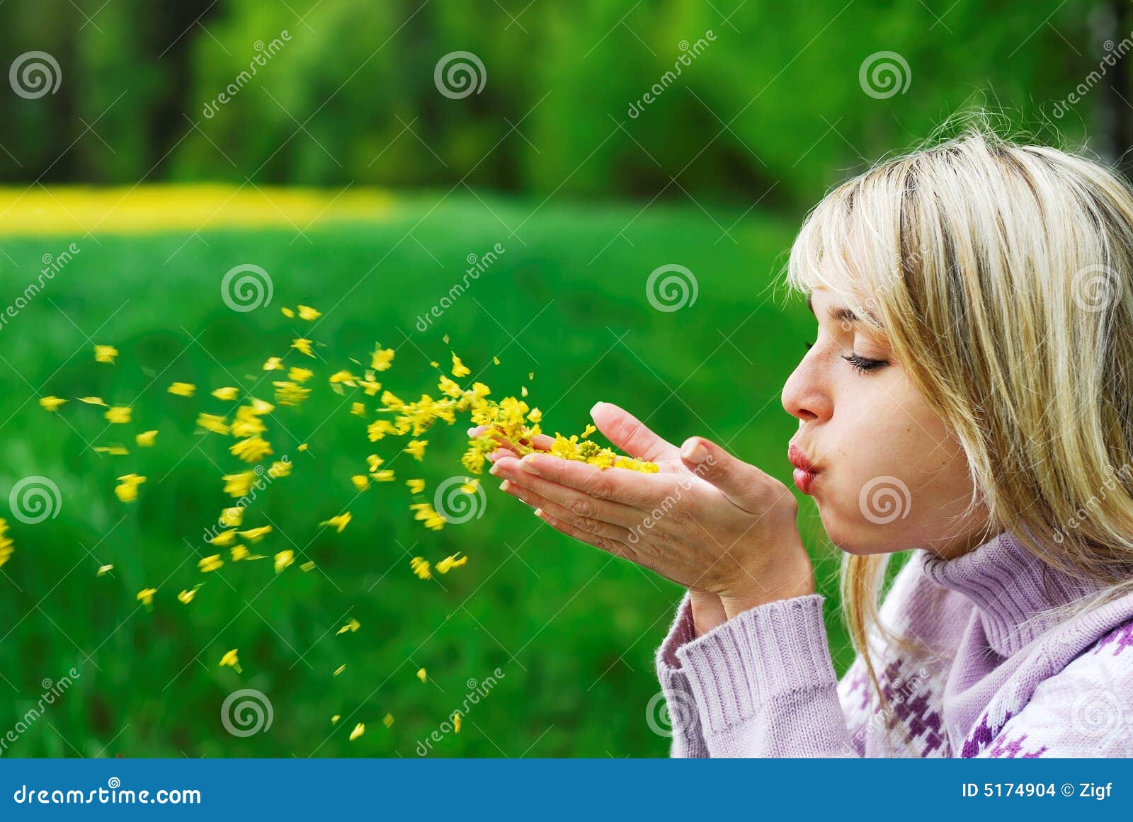 The Girl Blows Off Flower Petals Stock Photo - Image of daughter, face ...