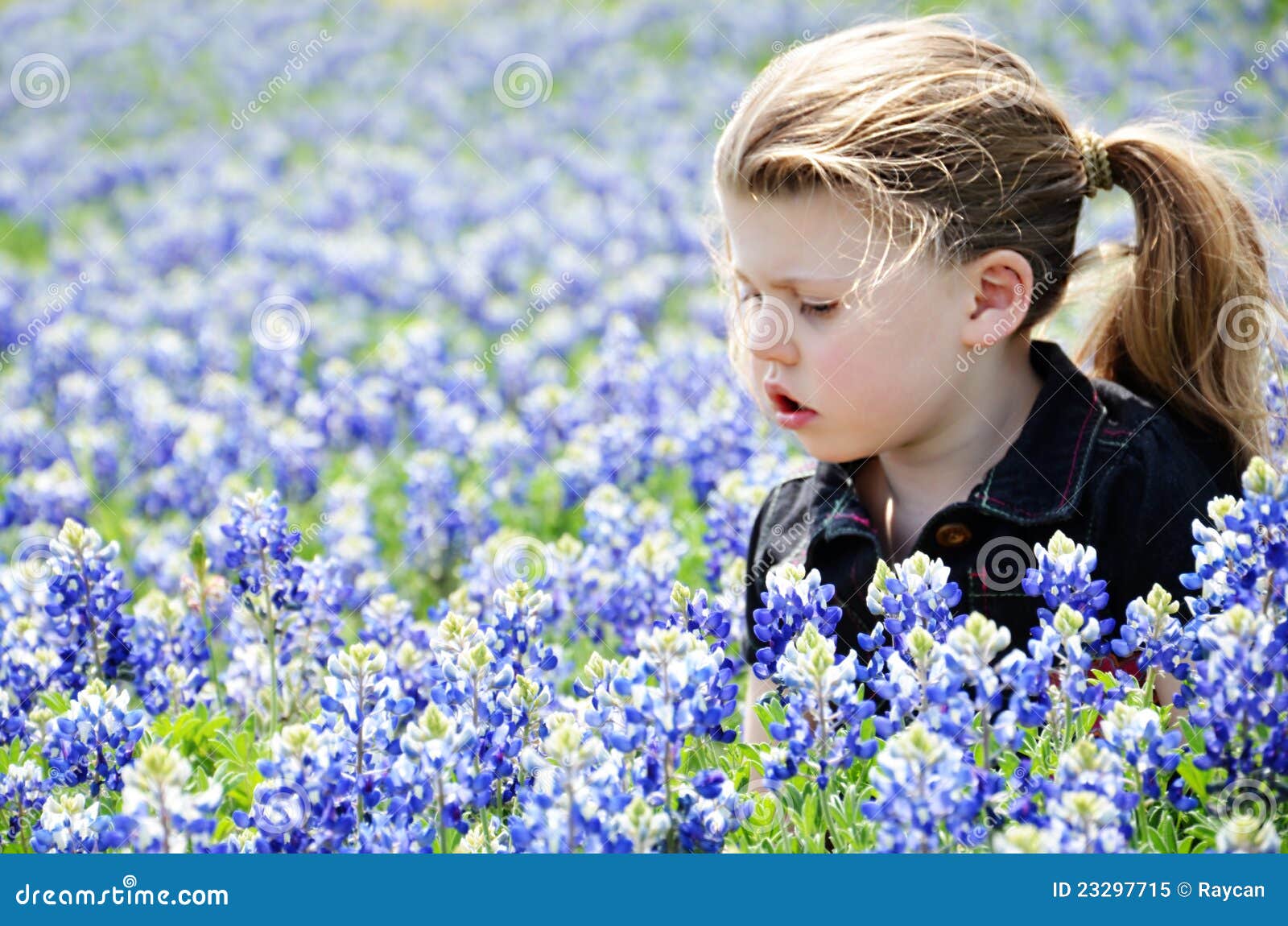 Girl in Blue Bonnets stock image. Image of autism, outdoors - 23297715