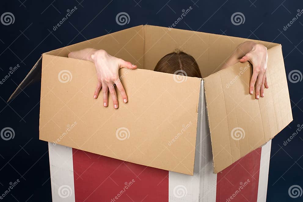 Girl in box stock image. Image of pose, pale, boxed, cardboard - 8358583