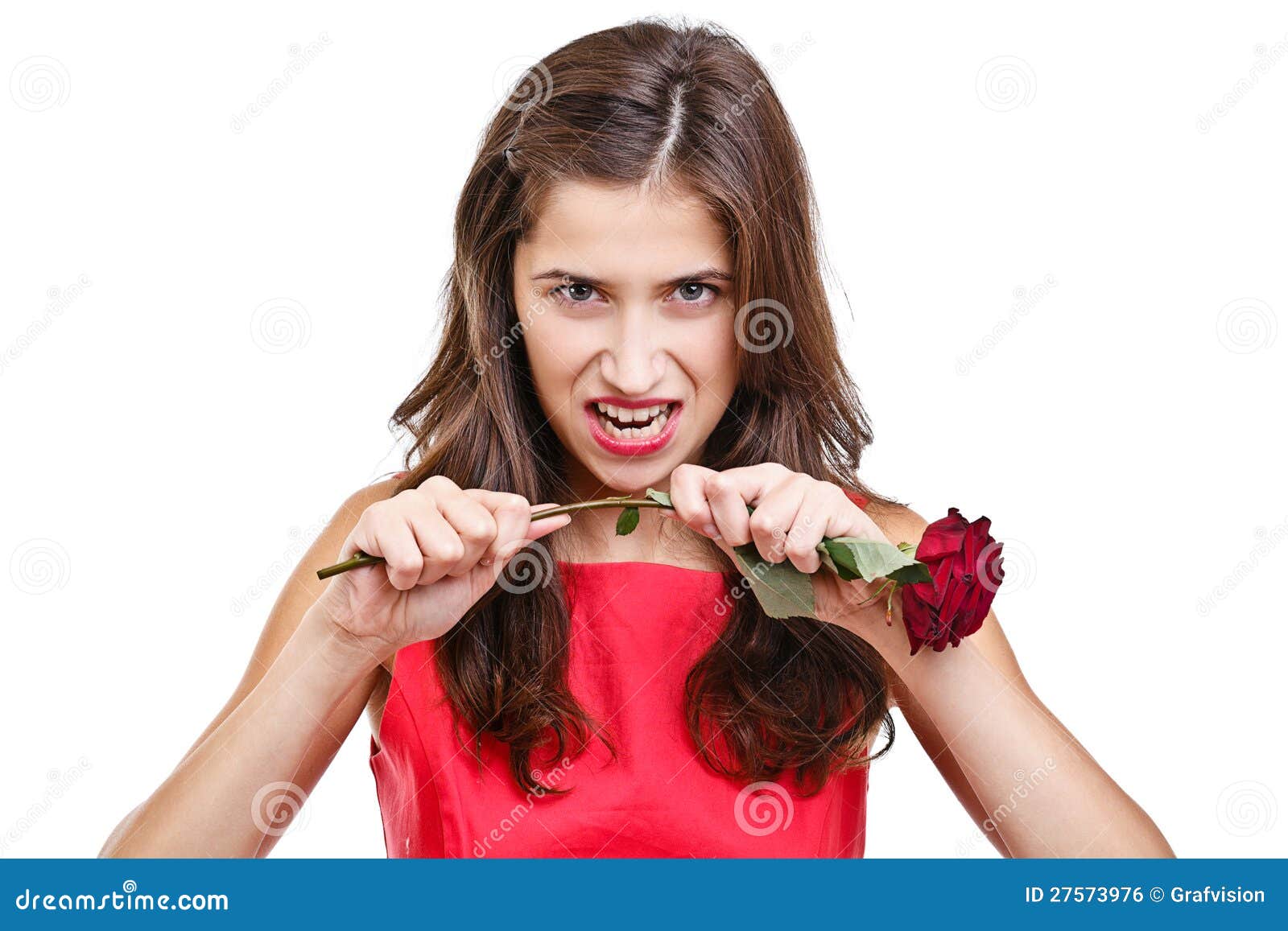Girl break a red rose stock photo. Image of caucasian - 27573976