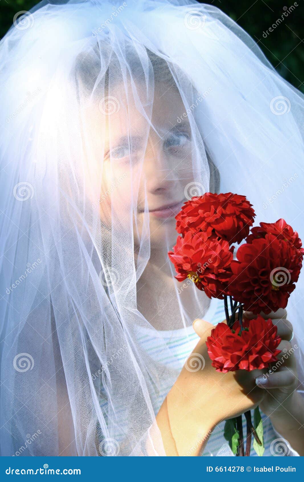 Girl bride stock photo. Image of caucasian, pose, holding - 6614278
