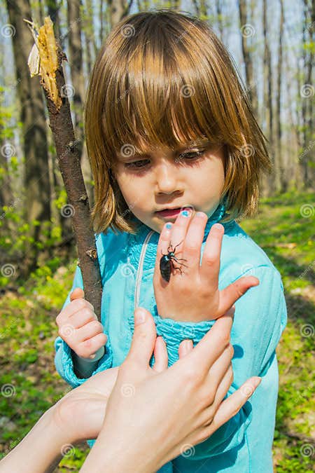 Girl with a bug on a hand stock photo. Image of casual - 86635566