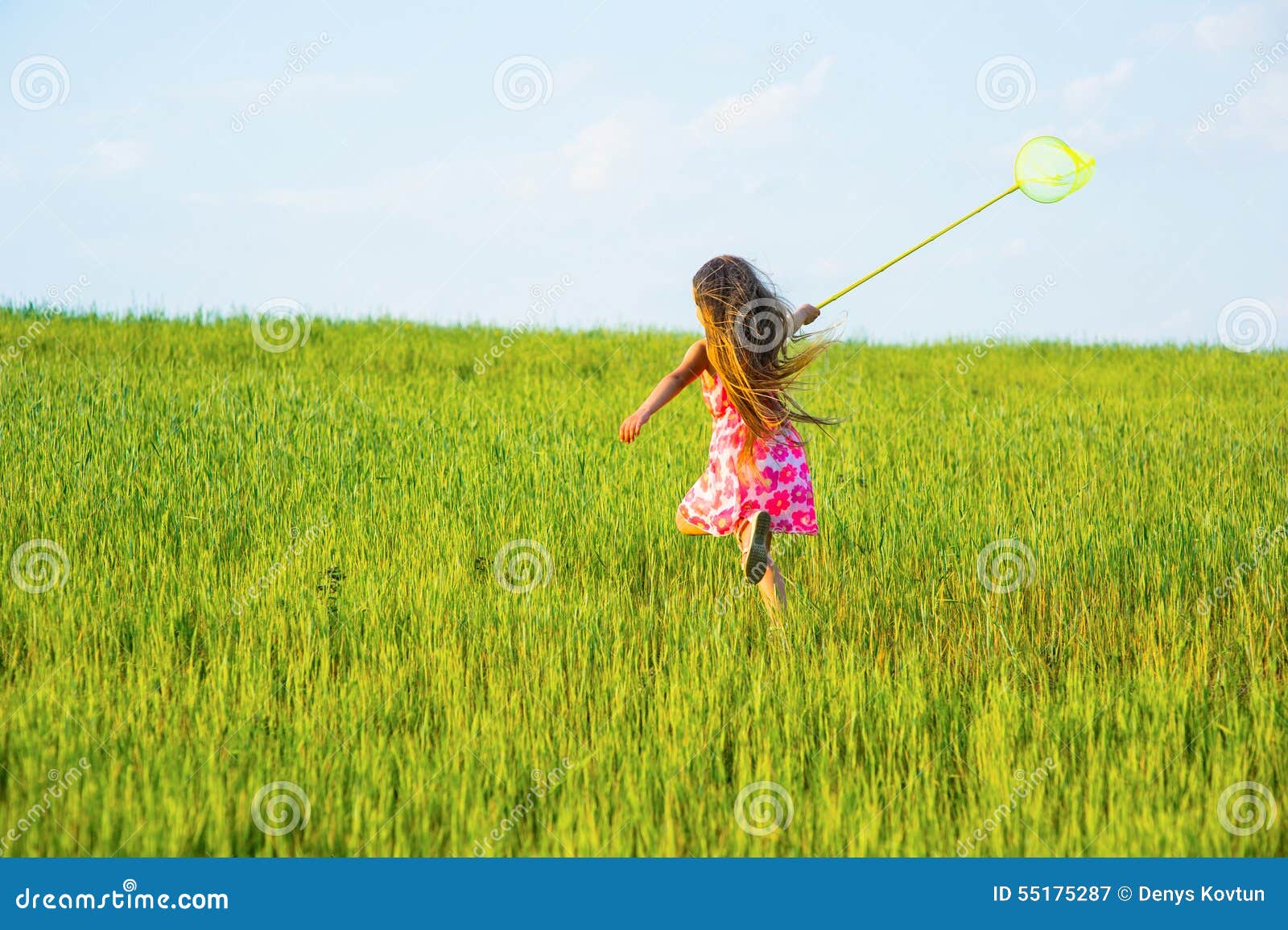 Girl With A Butterfly Net. Stock Photo - Image: 55175287
