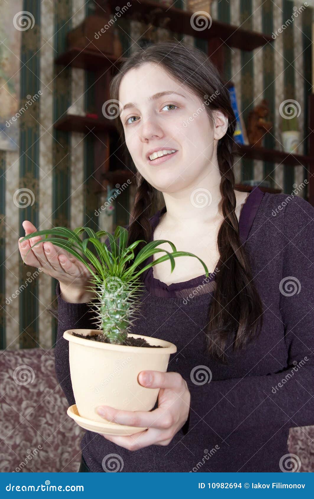 Girl with cactus stock photo. Image of cactus, domestic - 10982694