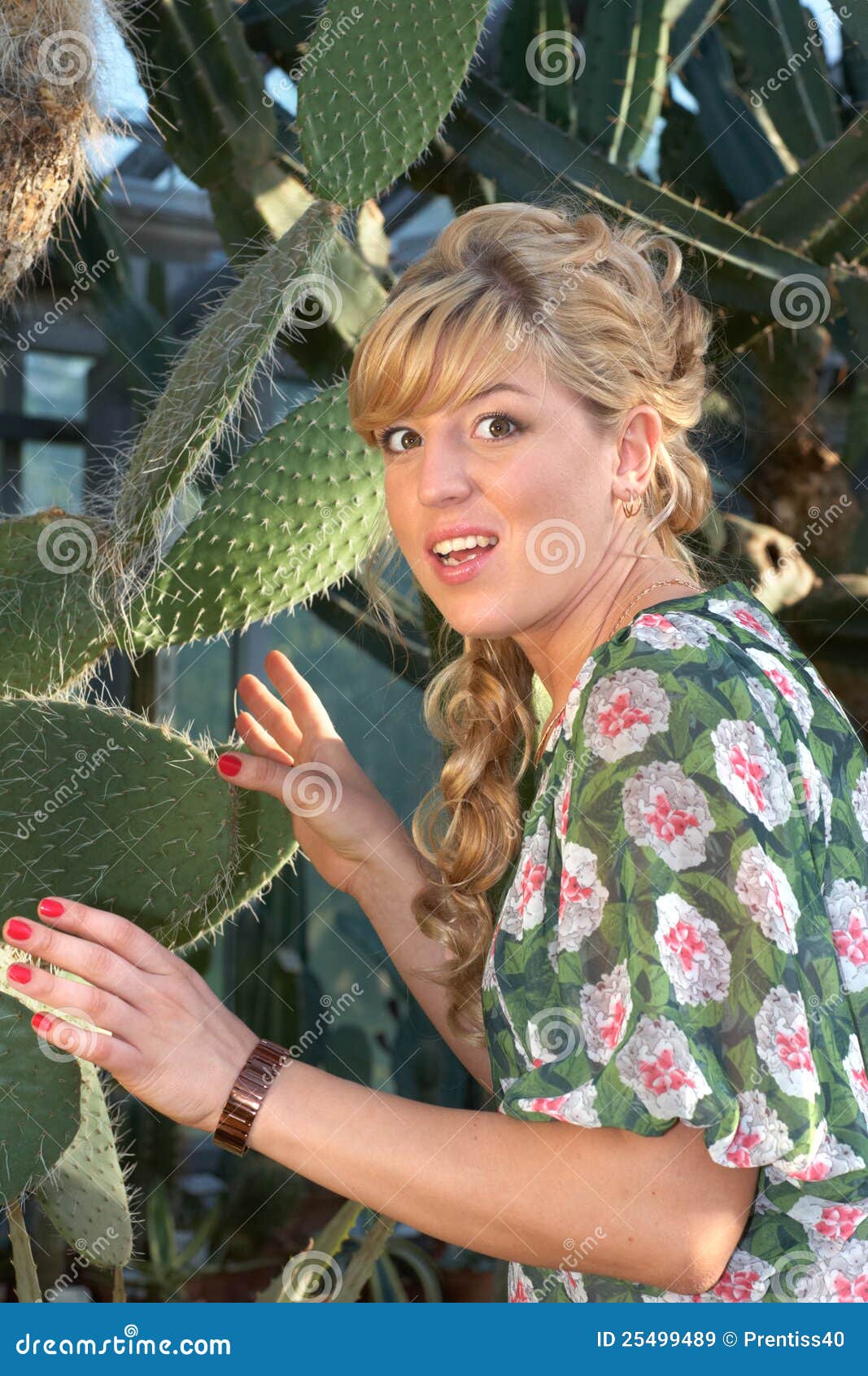 Girl and cactus stock image. Image of pricked, cactus - 25499489