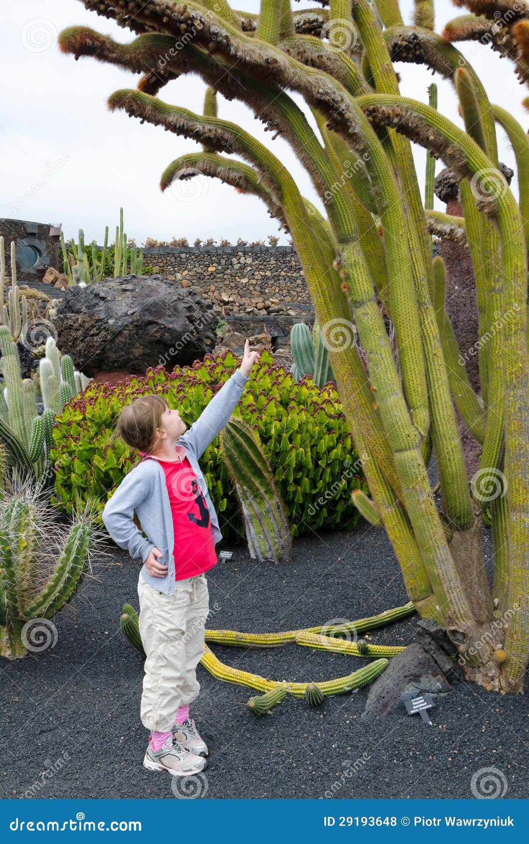 Girl in cactus park stock photo. Image of destination - 29193648