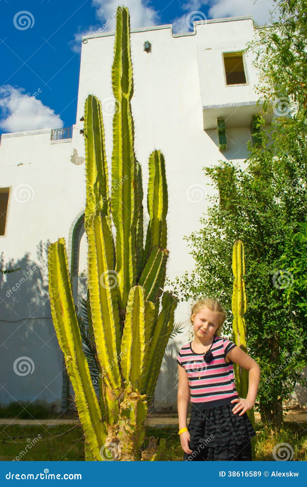Girl with a cactus stock image. Image of holiday, beauty - 38616589