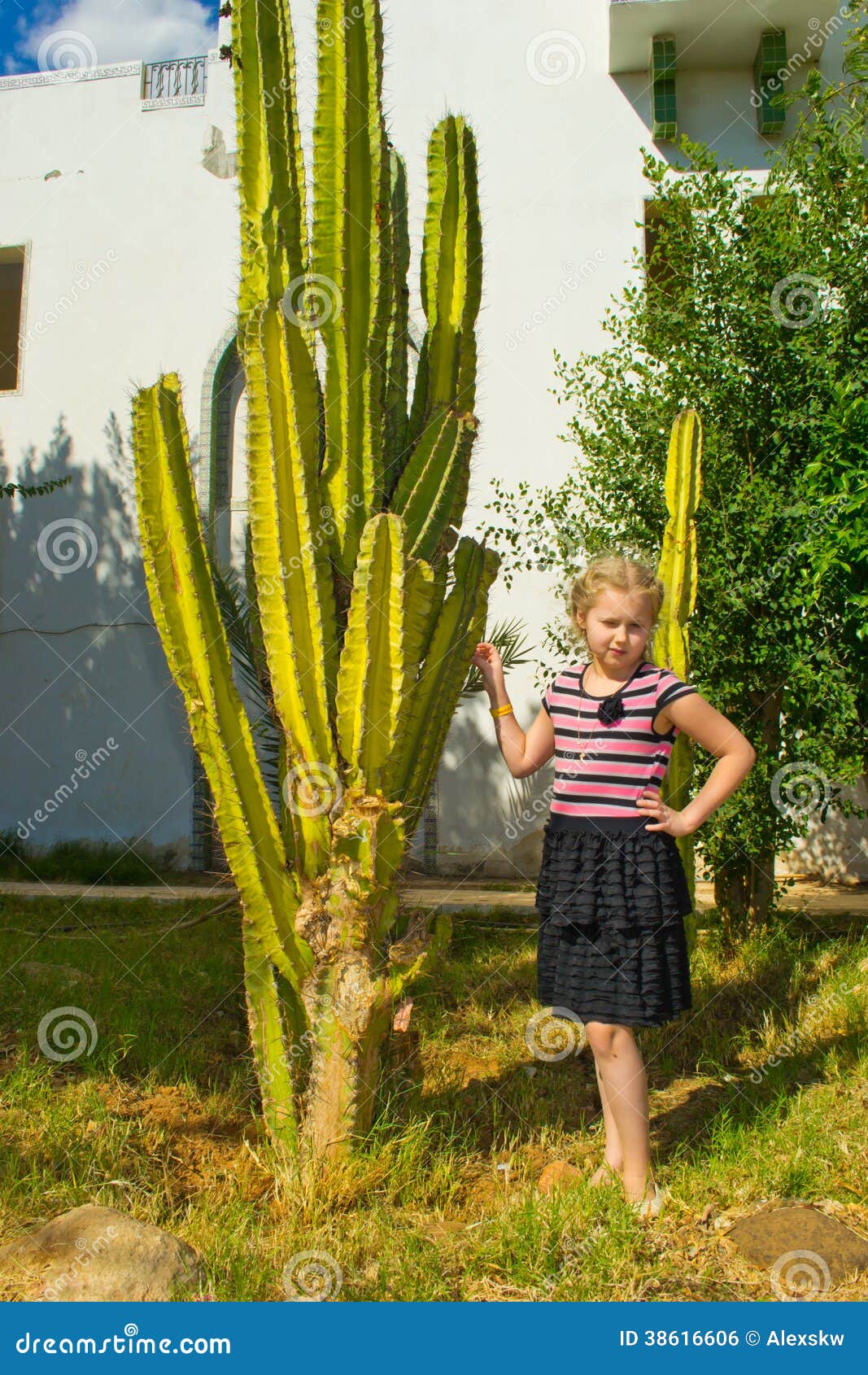 Girl with a cactus stock photo. Image of baby, beauty - 38616606