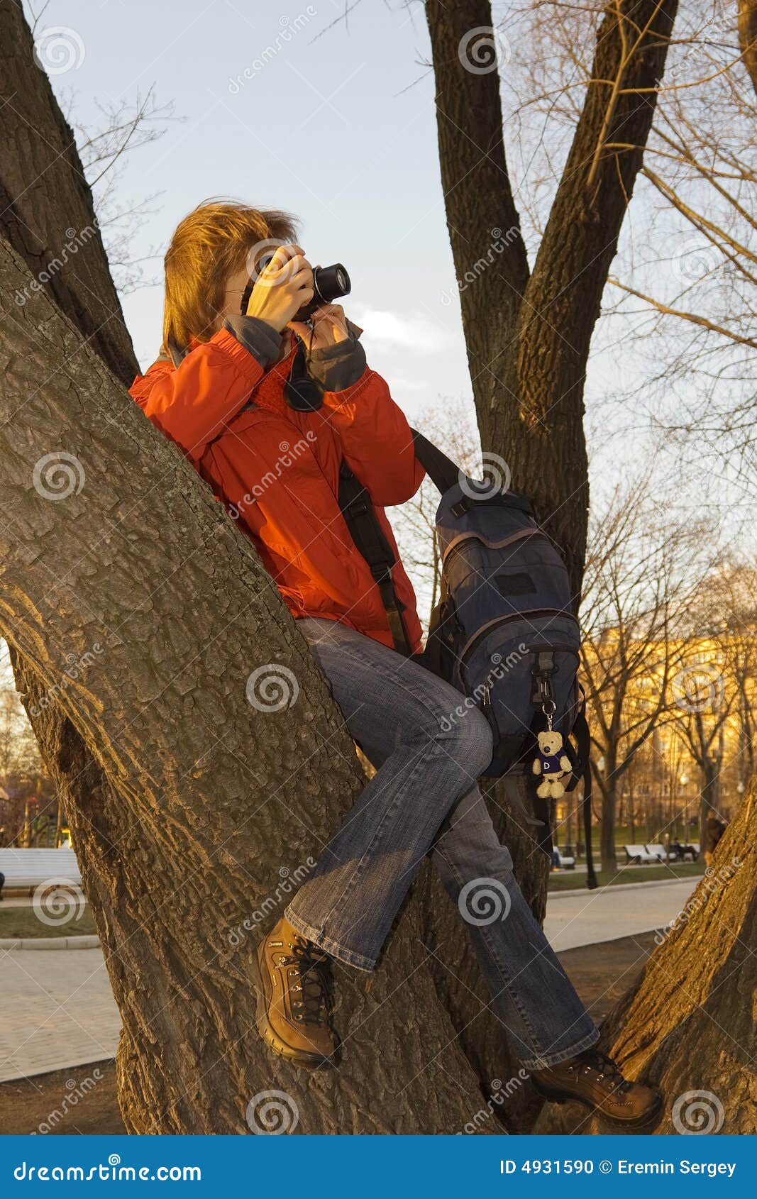 Fun Snapshot Tree Stock Photos - Free & Royalty-Free Stock Photos from ...