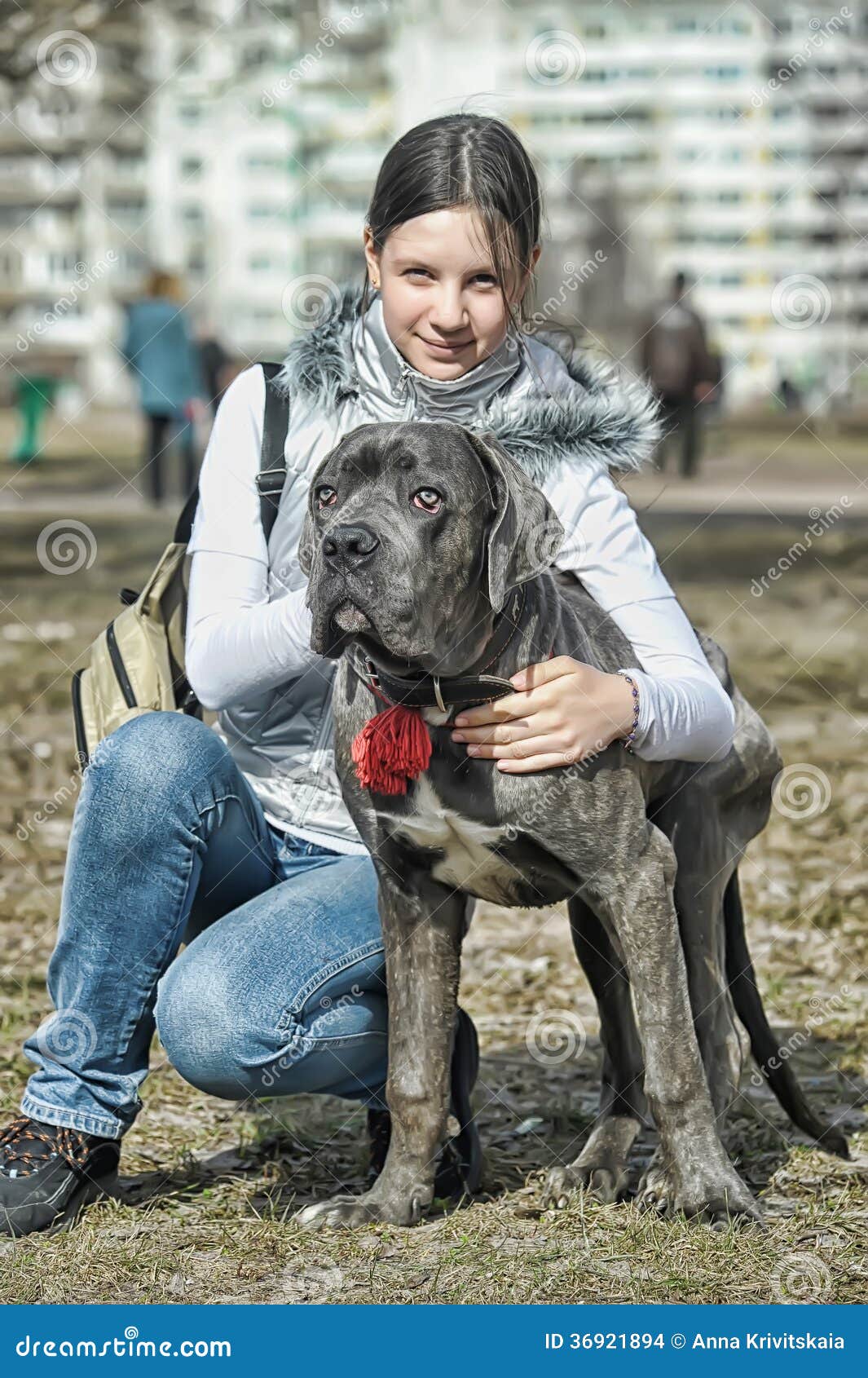 Girl and Cane corso puppy stock photo. Image of eyes - 36921894