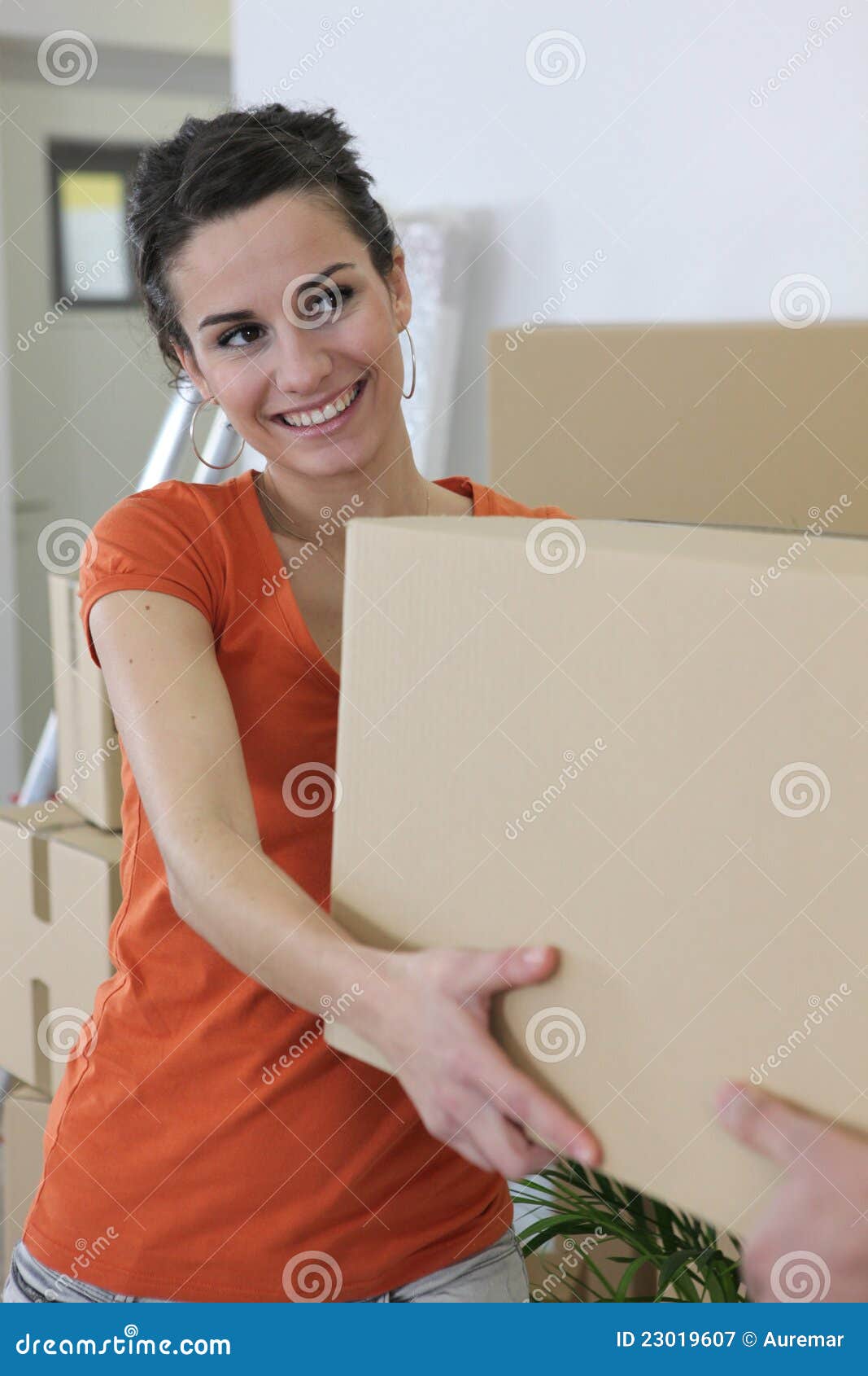 Girl carrying box stock image. Image of pretty, cheerful - 23019607