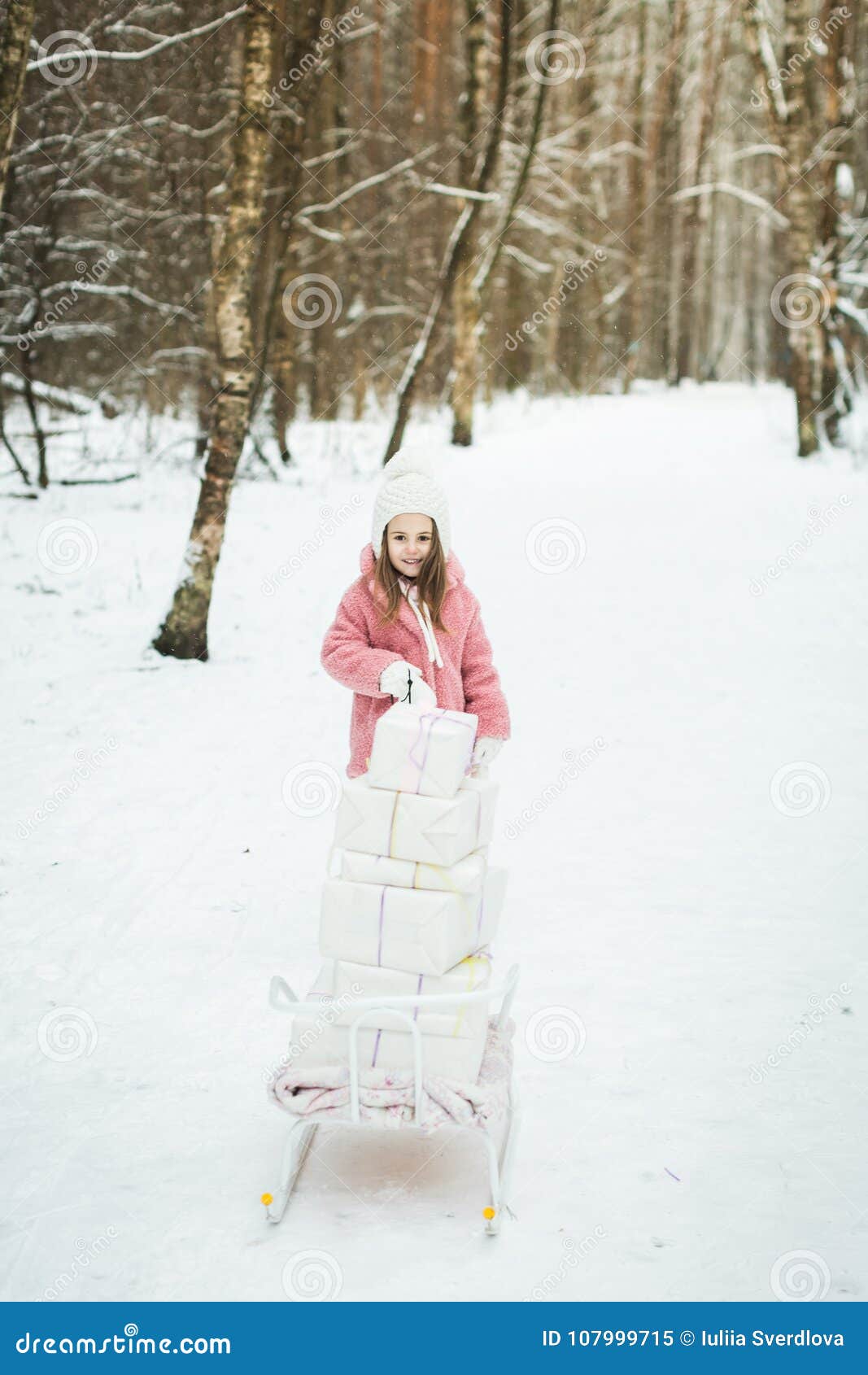Girl is Carrying a Sledge with Gift Boxes Stock Image - Image of ...