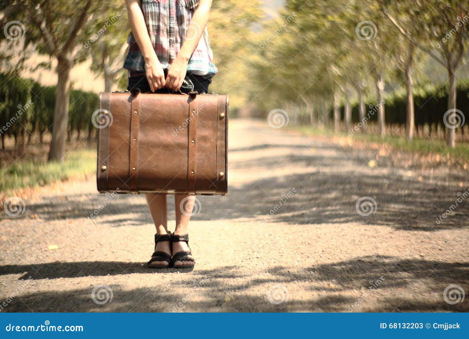 A Girl Carrying a Suitcase on a Pathway. Stock Image - Image of holding ...