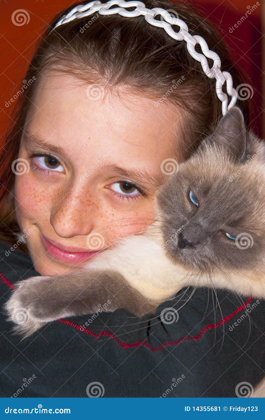 Girl with cat stock image. Image of girl, little, skin - 14355681