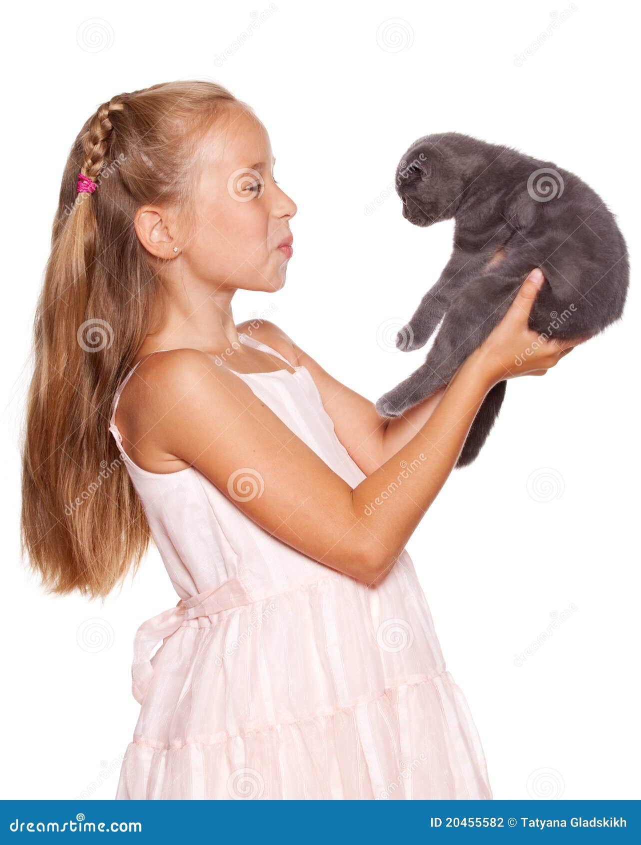Girl with cat stock photo. Image of affection, child - 20455582