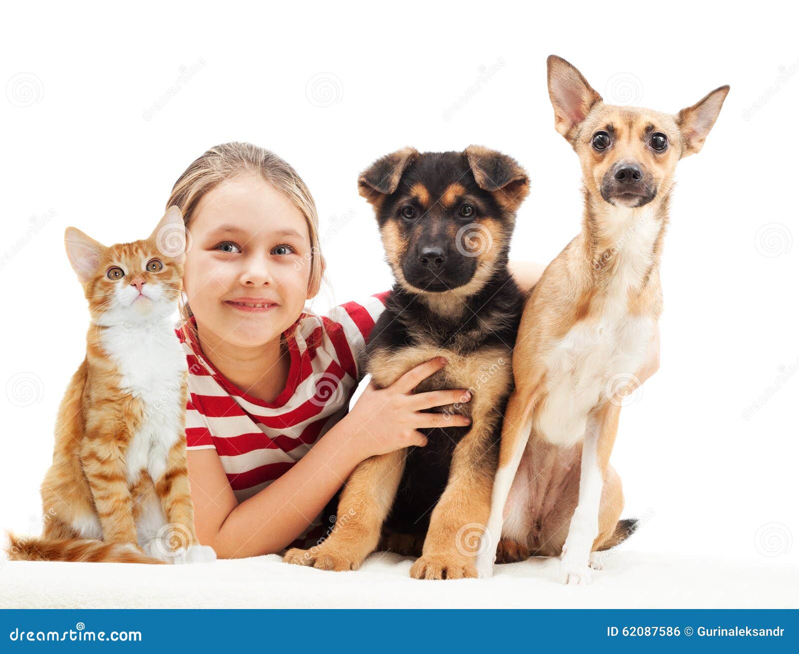 Girl and a cat and a dog stock photo. Image of pets, looking - 62087586