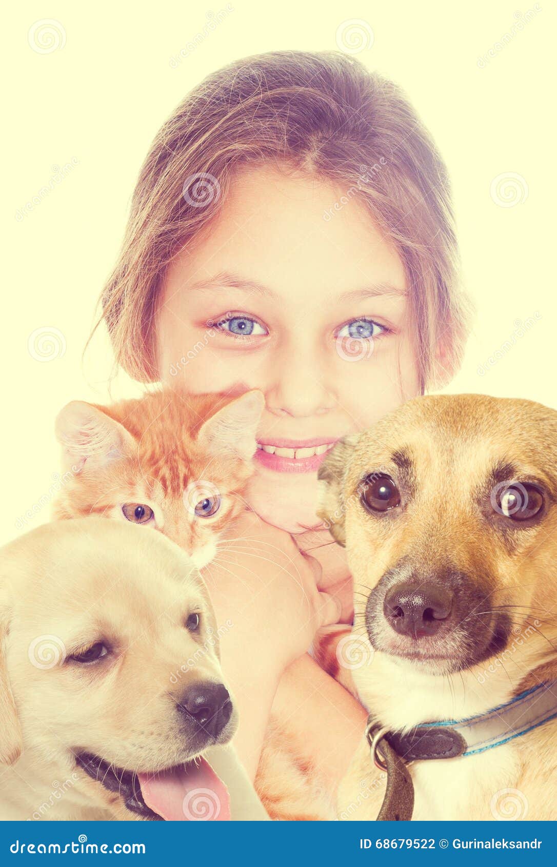 Girl and cat and dog stock photo. Image of childhood - 68679522