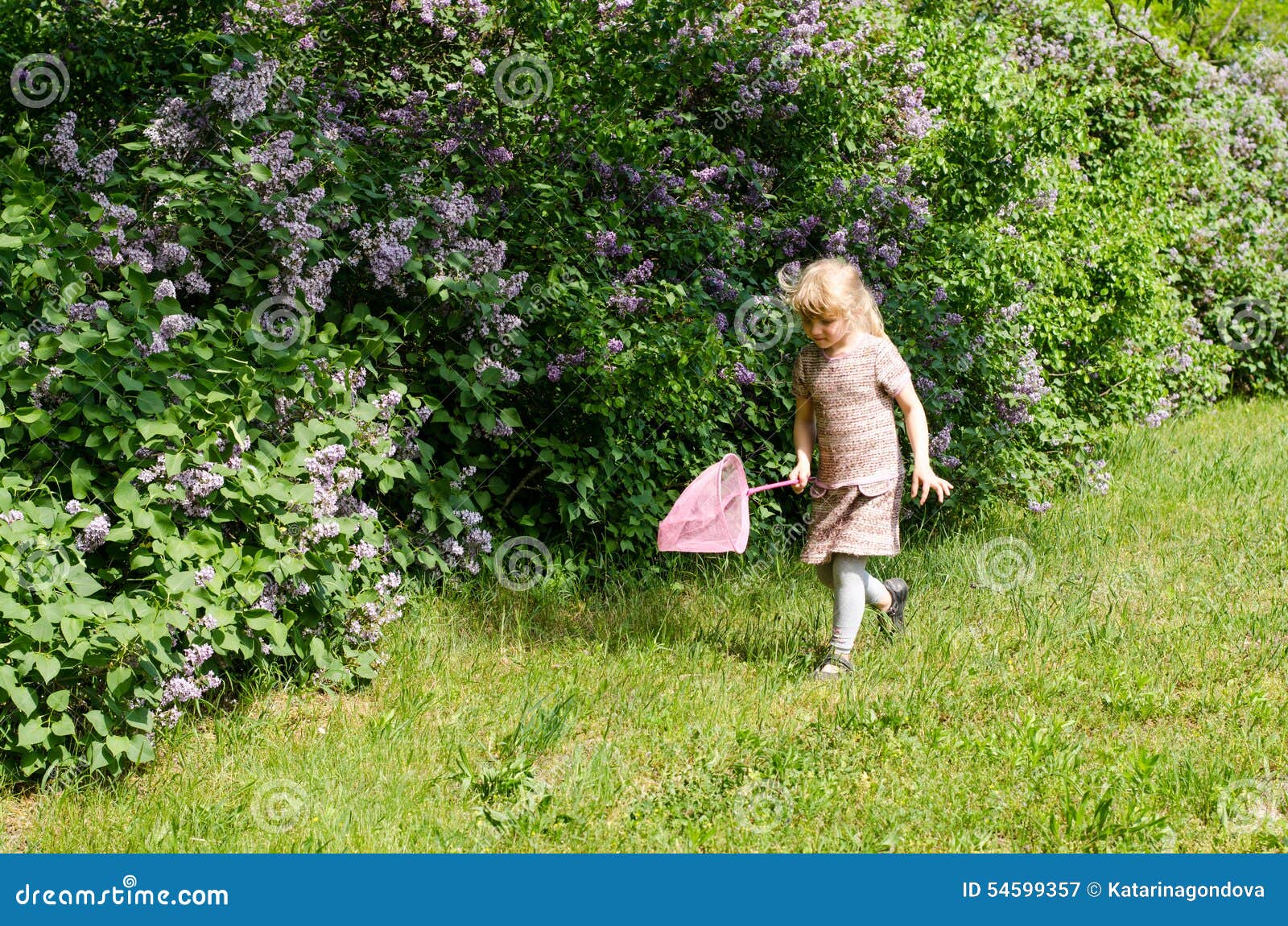 Girl catching butterflies stock image. Image of outdoor - 54599357