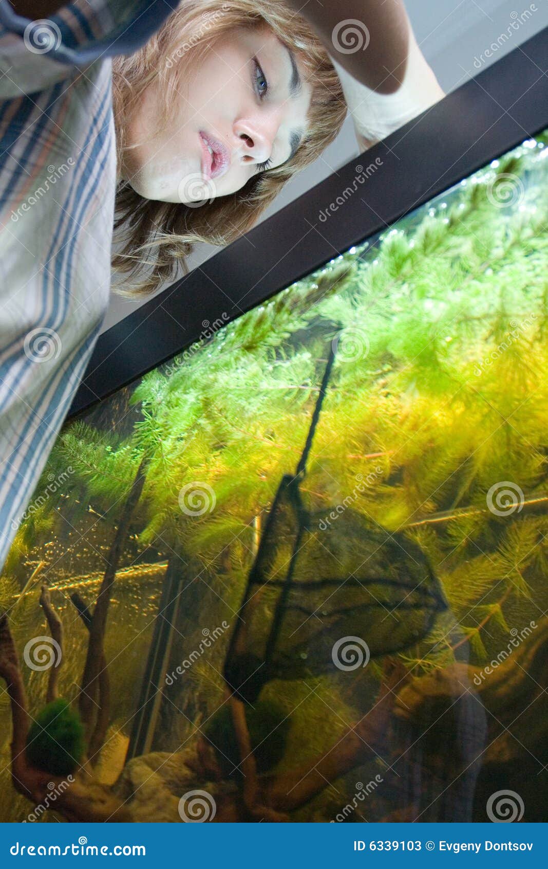 Girl Catching Fish in Aquarium Stock Image - Image of fishing, woman ...